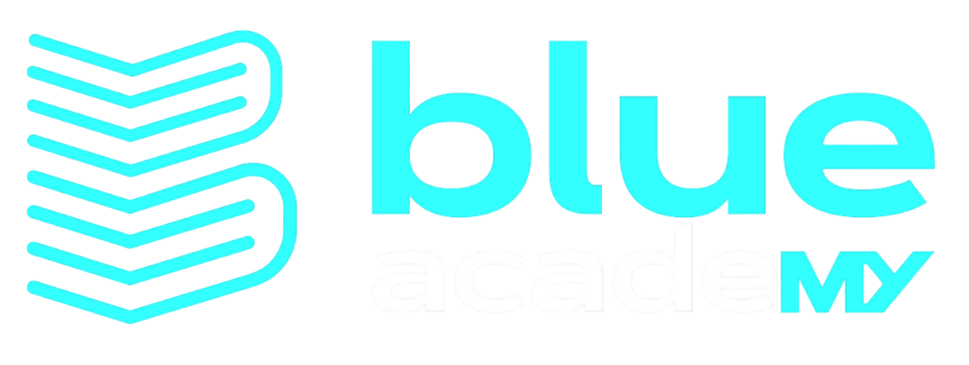 Blue Academy | - Blue3 Investimentos
